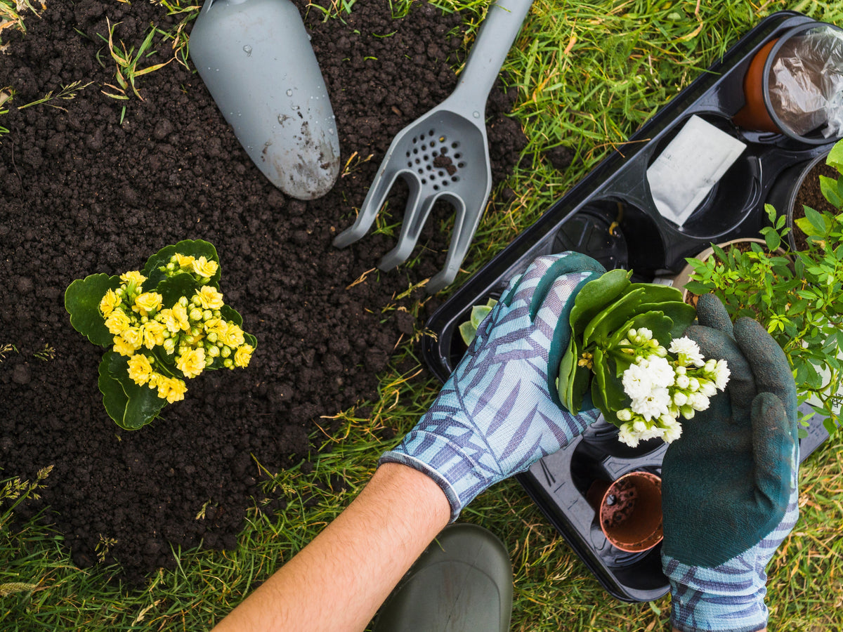 How Gardening Became a Business: Turning Passion into Plant Sales ...